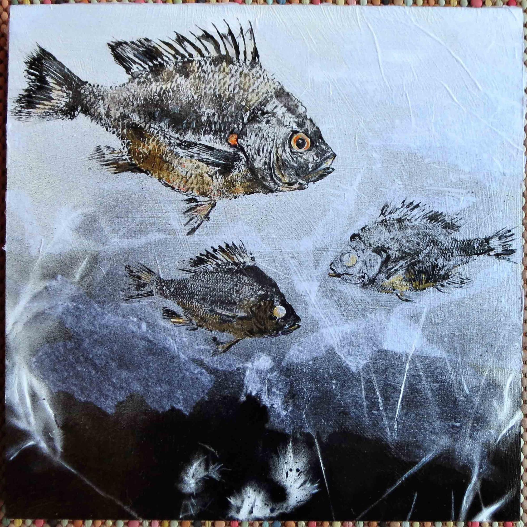 Kay Young – Nature Printing Society